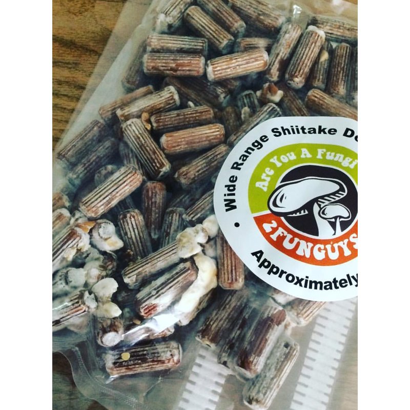 100 Shiitake 100 Mushroom Plug Spawn Edible Mycelium Plugs - Everymarket
