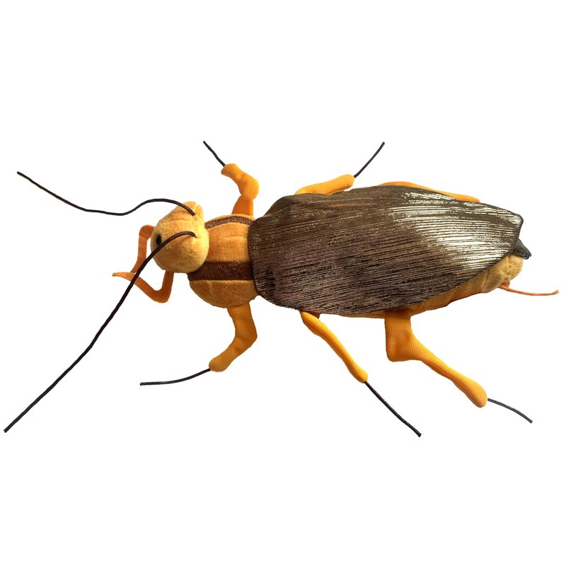 GIANTmicrobes Cockroach Plush - Learn About This Common Crawler with ...