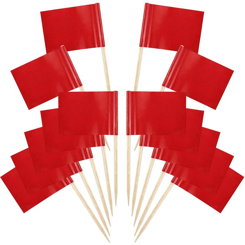50 Pack Blank Toothpick Flags, Food Signs, Food Name Labels, Cheese ...