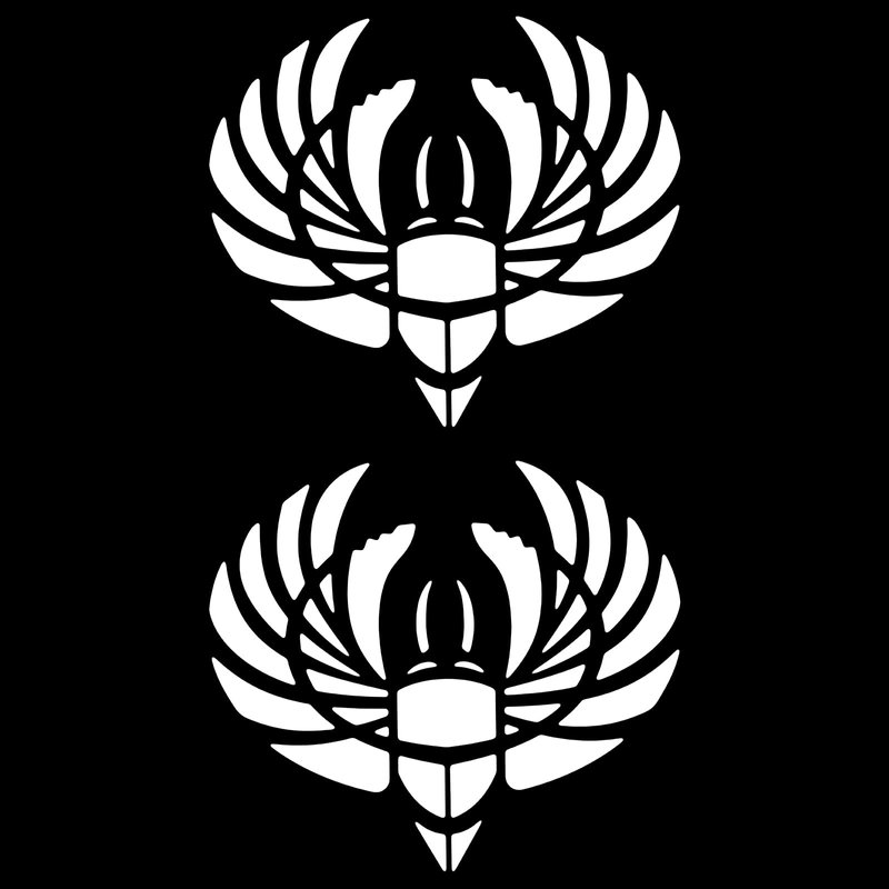 Imagnt Studio Set of 2 Boat Hull Vinyl Decals Beetle only for Scarab ...