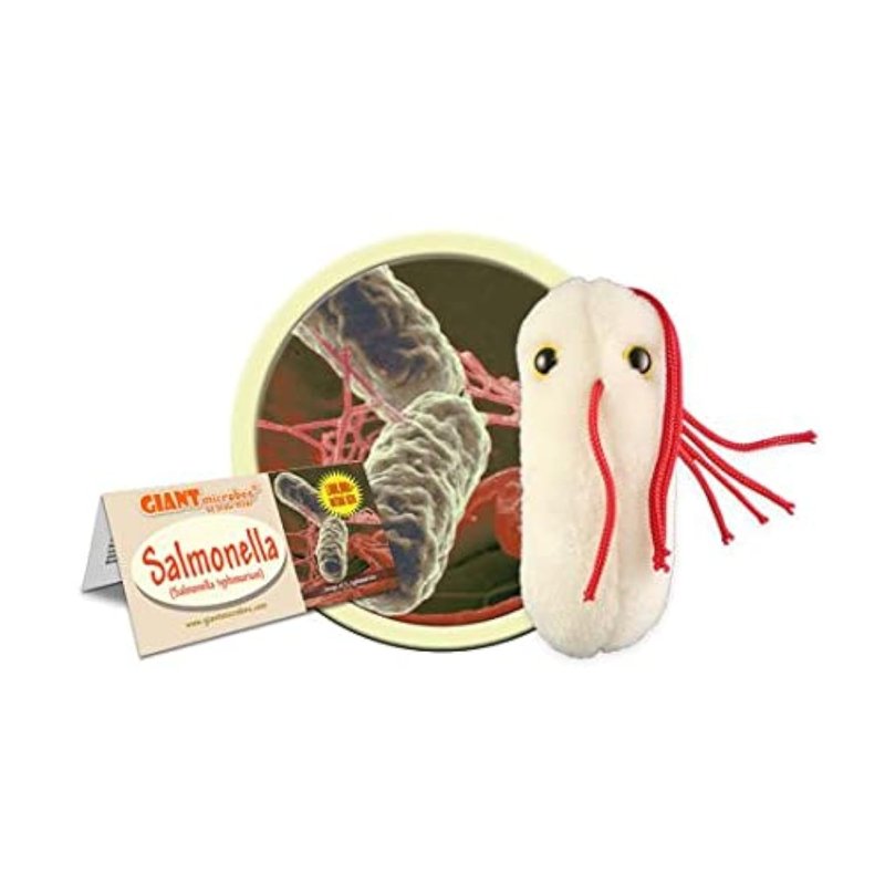 GIANTmicrobes Salmonella Plush -Learn About Food Safety, Bacteria and ...
