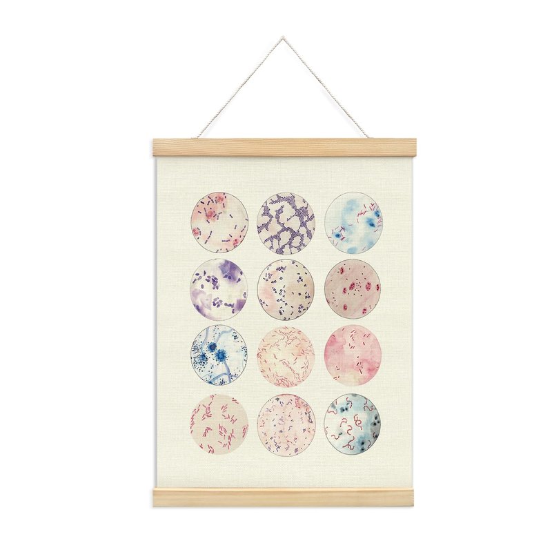 KDHTY Educational Posters Hanger Frame,Classroom Must Have Science ...