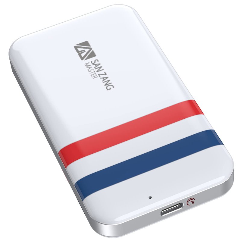 SAN ZANG MASTER Portable SSD 256 GB, USB C External Solid State Drive ...