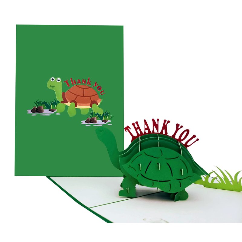 iGifts And Cards Cute Turtle Thank You 3D Pop Up Greeting Card - Funny ...