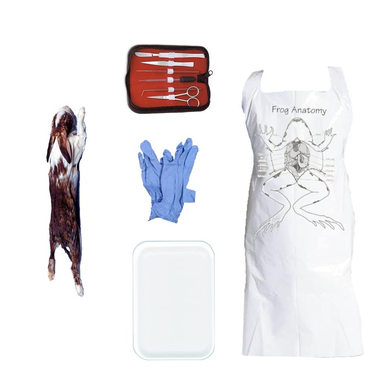 Anatomy Lab Rabbit Dissection Kit with Scalpel Dissection Guide and ...