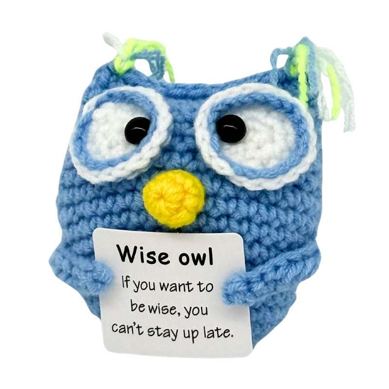 CATTITUDE Mini Positive Crochet Owl with Uplifting Card- Cheerful Cute ...
