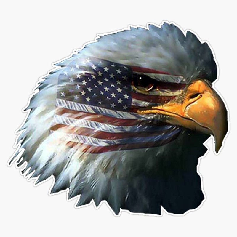 BZ Trading American Flag Bald Eagle Patriotic Vinyl Decal Wall Laptop ...
