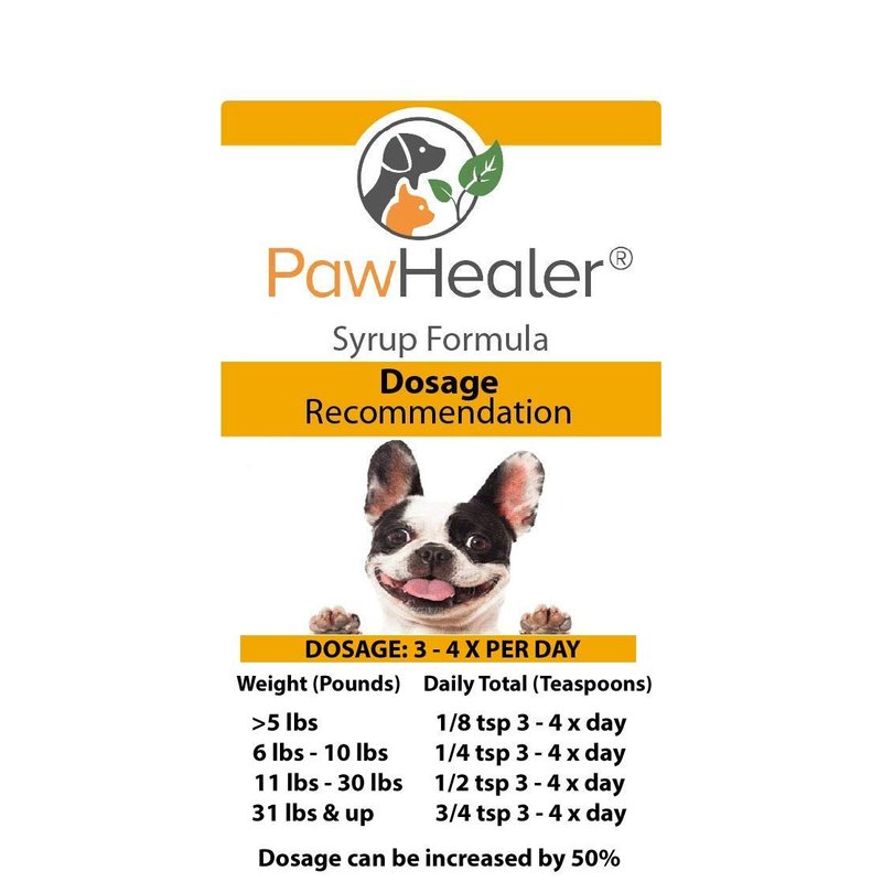 Dog Cough Remedy - Hound Honey: Phlegm Heat - 3PAK - Loud - Honking ...